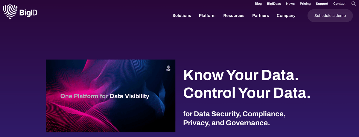 The Top Data Privacy Companies of 2024