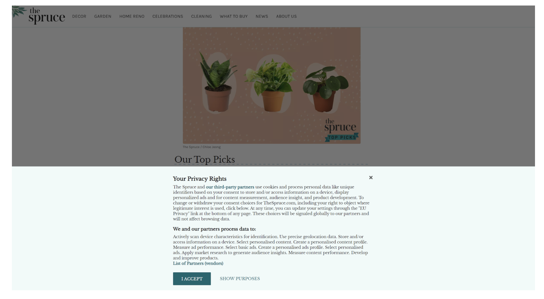 The Best Cookie Banner Examples We've Seen (Updated!)